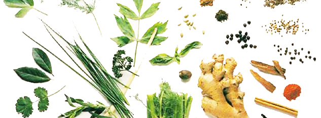 Tıbbi - Aromatik Bitkiler